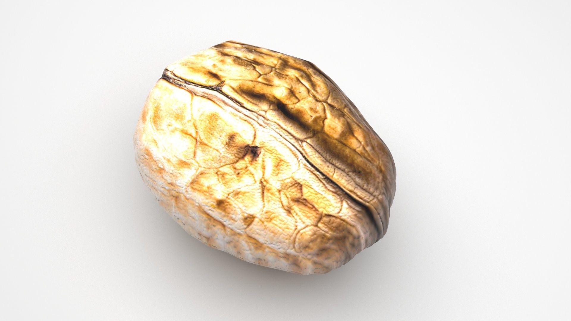 Walnut Shell 3D model | CGTrader