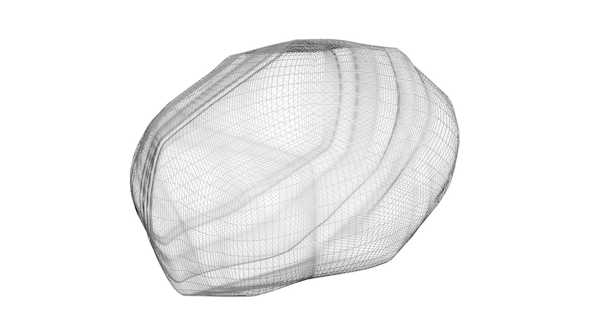 Walnut Shell 3D model | CGTrader