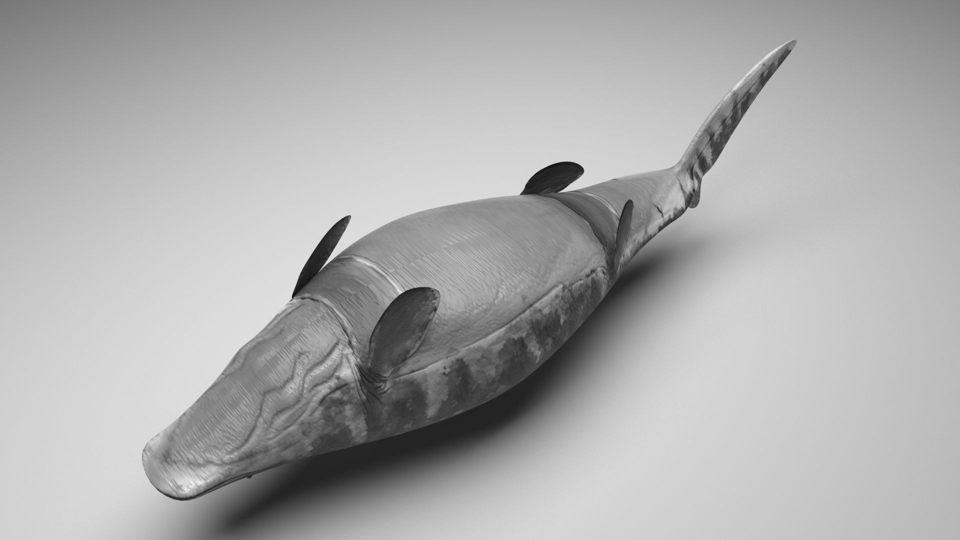 Mosasaurus 3D model | CGTrader