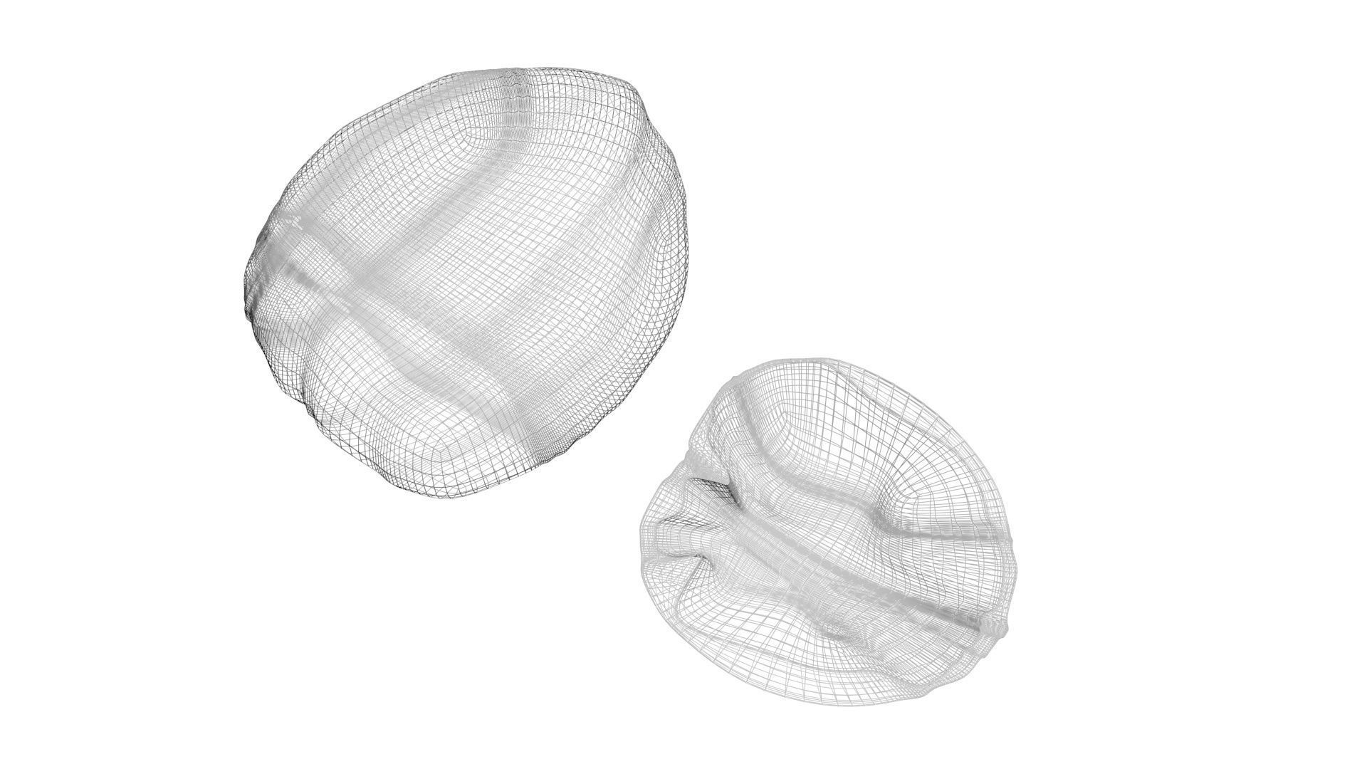 Walnut 3D model | CGTrader