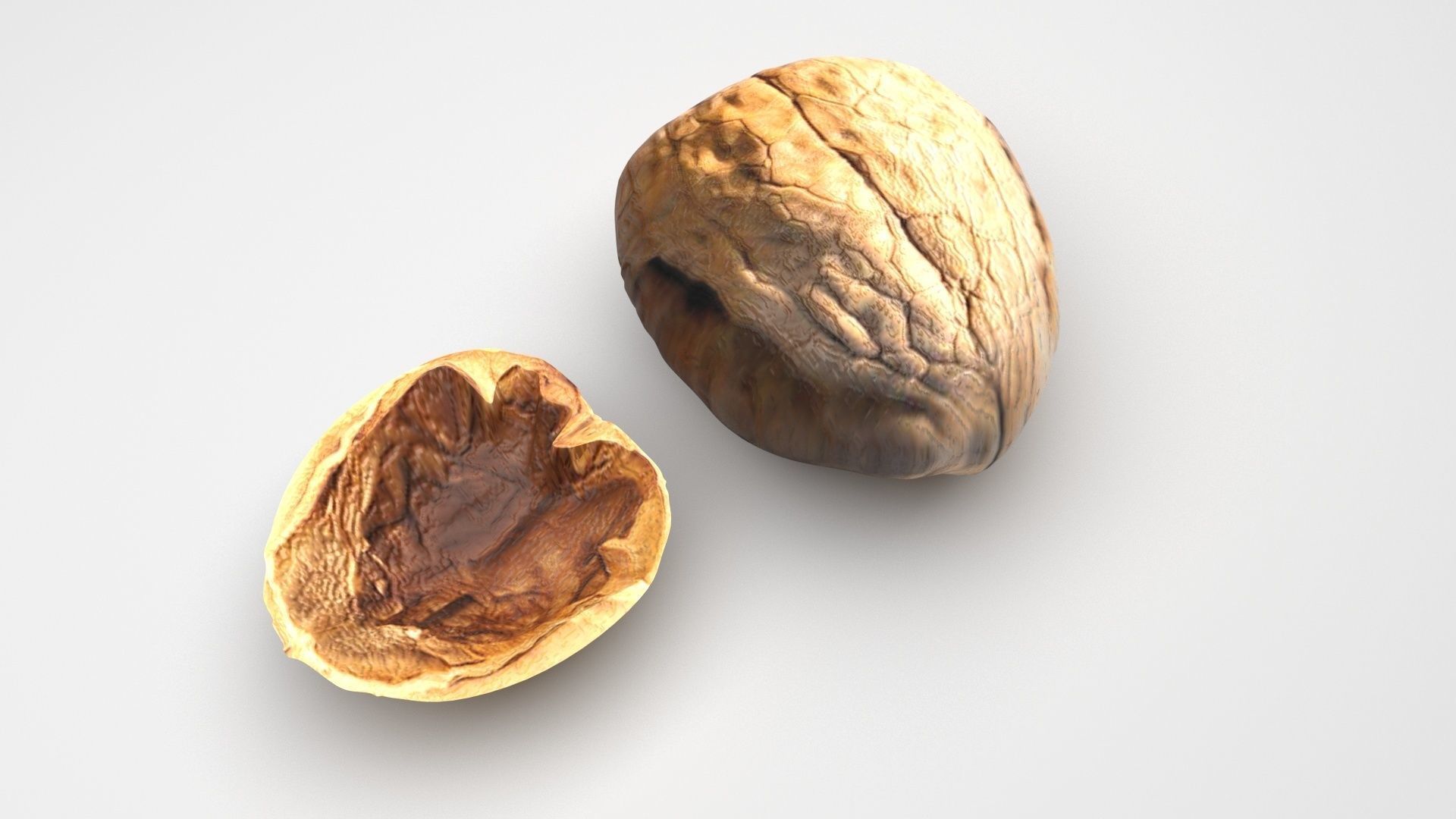 Walnut 3D model | CGTrader