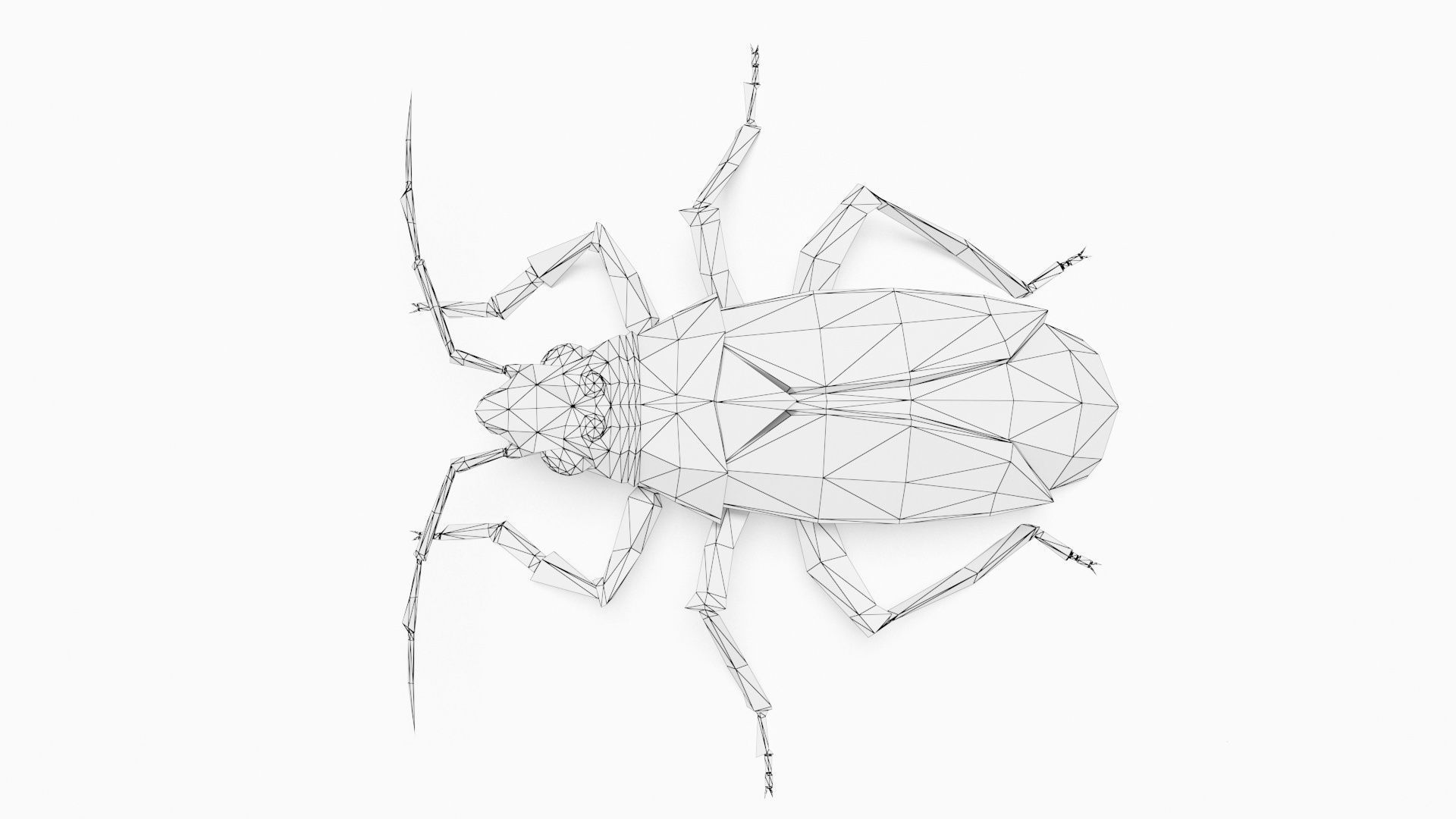 3D model Bug low poly VR / AR / low-poly | CGTrader