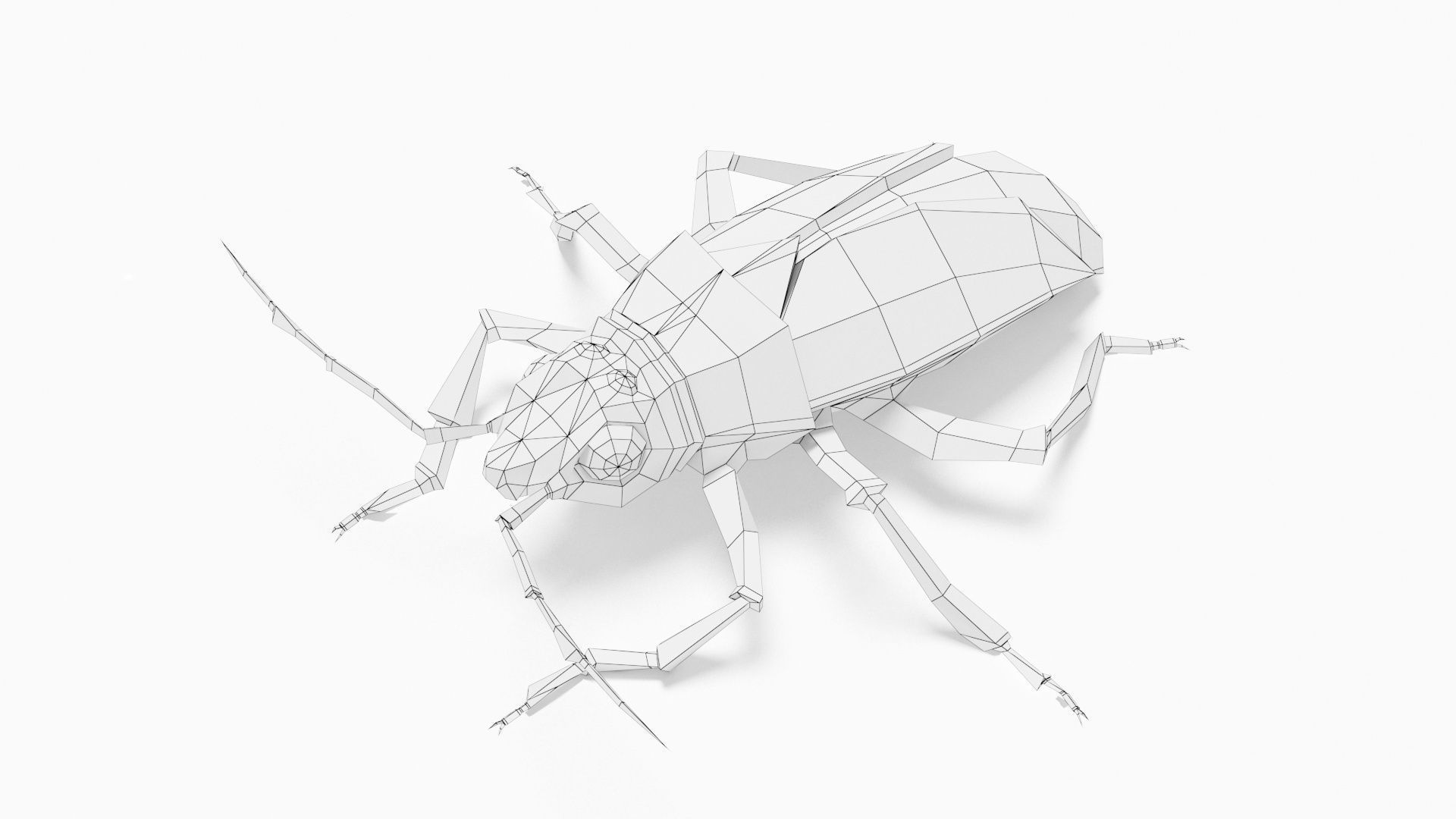 3D model Bug low poly VR / AR / low-poly | CGTrader