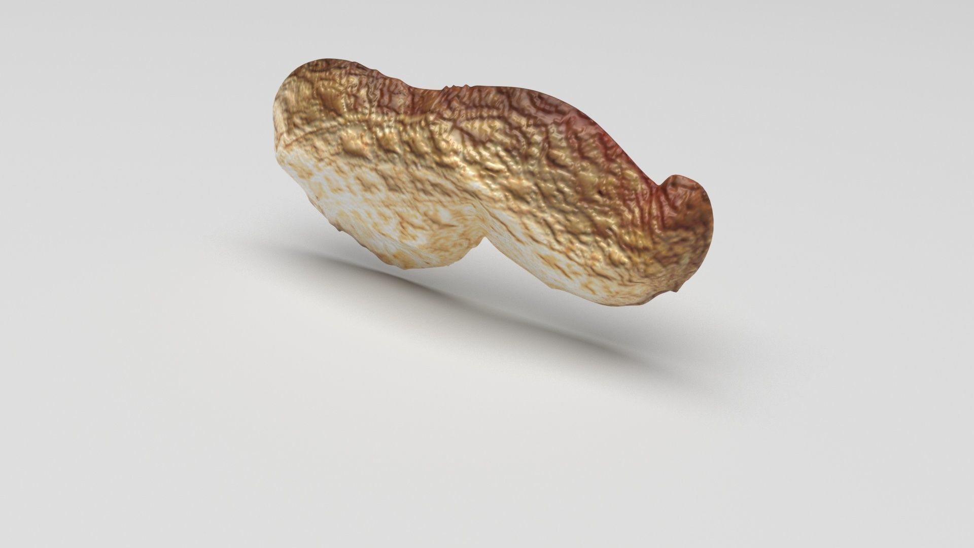 Peanuts 3D model | CGTrader