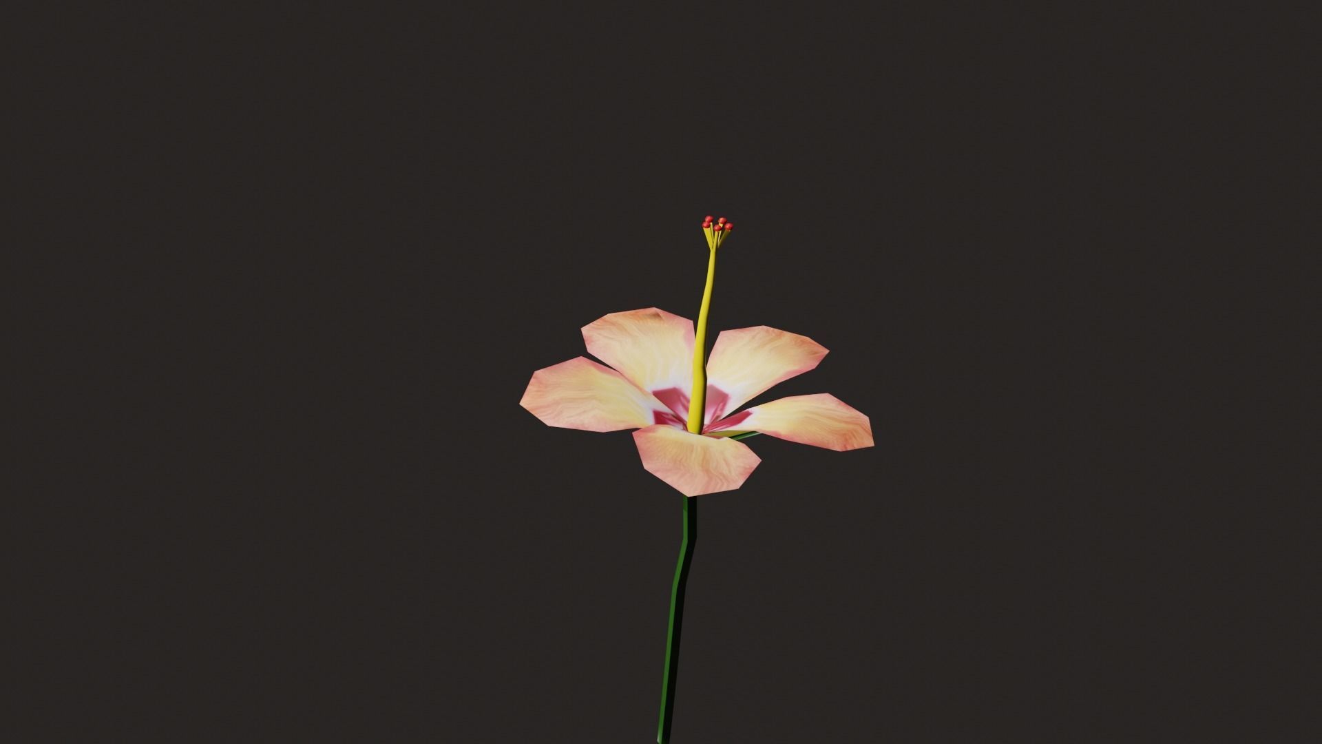3D model Hibiscus Flower in Blender VR / AR / low-poly | CGTrader