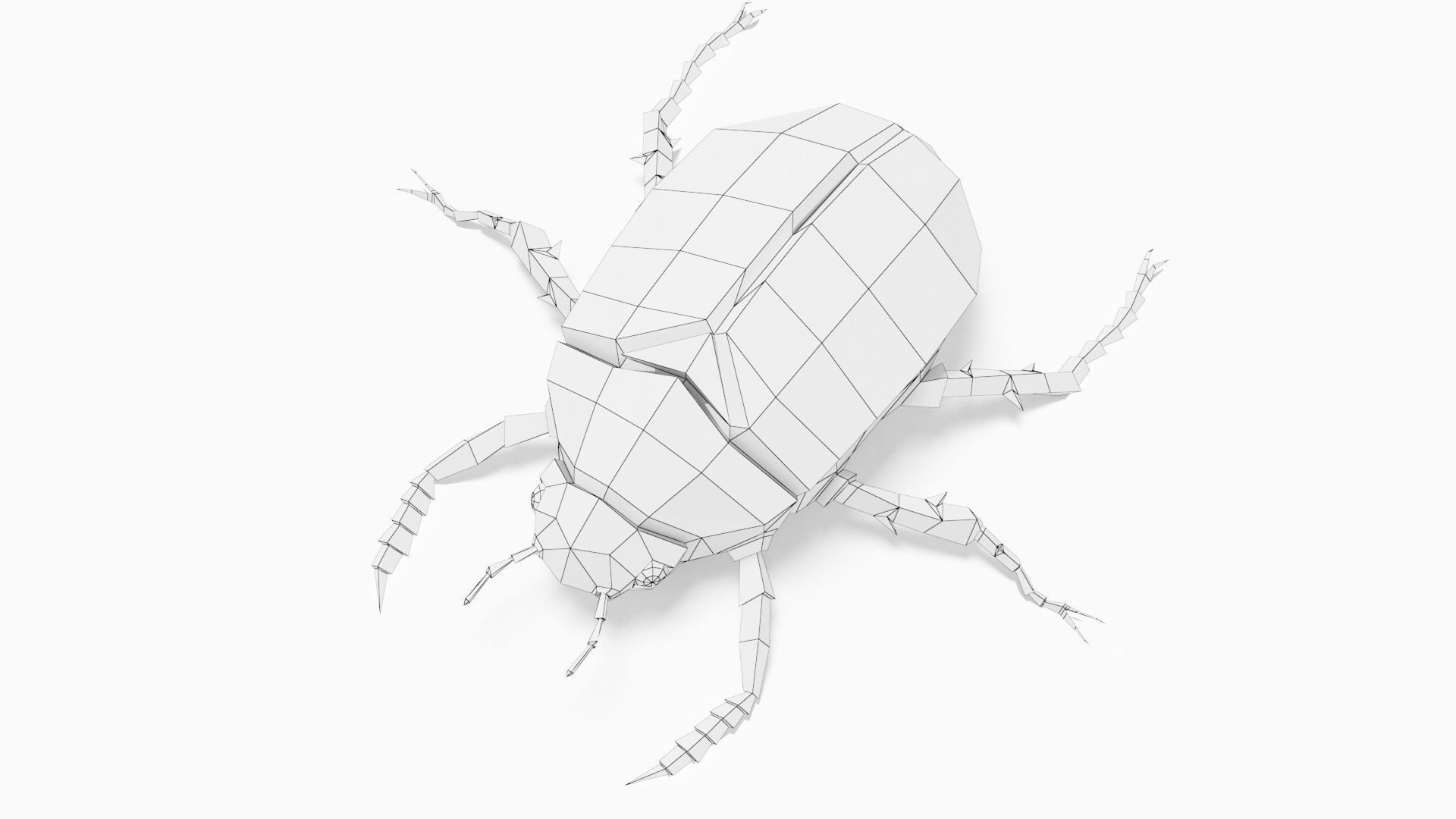 3D model Bug low poly polygonal beetle VR / AR / low-poly | CGTrader