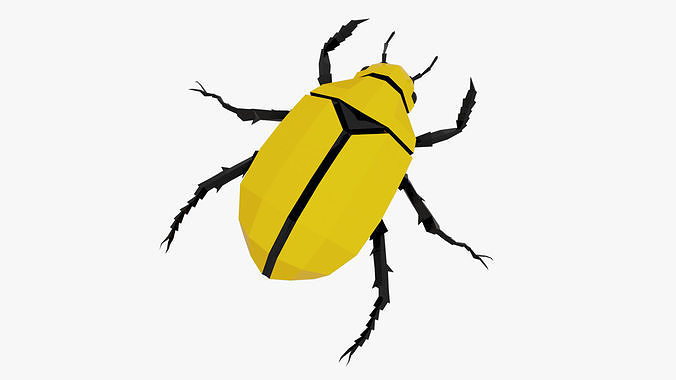 3D model Bug low poly polygonal beetle VR / AR / low-poly | CGTrader