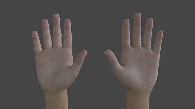 3D model ARMS-003 Rigged Arms VR / AR / low-poly | CGTrader