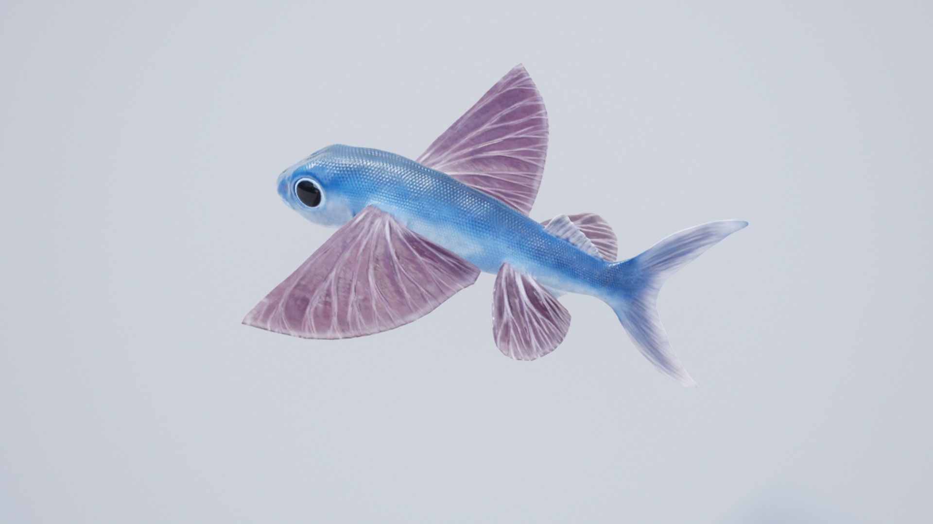 3D model Sea fish pack VR / AR / low-poly | CGTrader