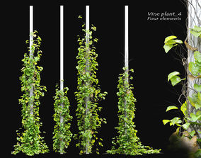 Vine 3D Models | CGTrader