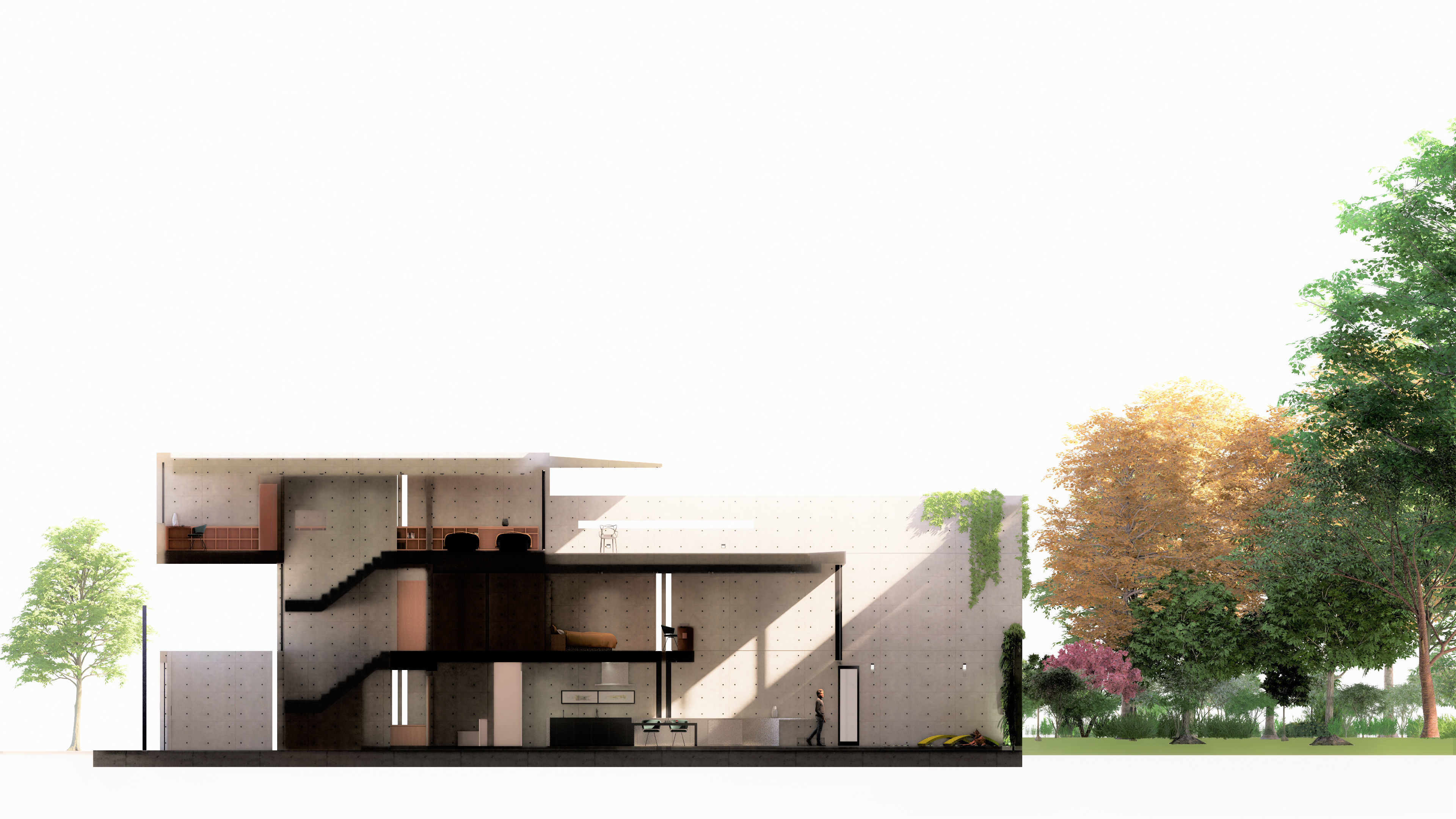 Utsubo Park House - Tadao Ando 3D model | CGTrader