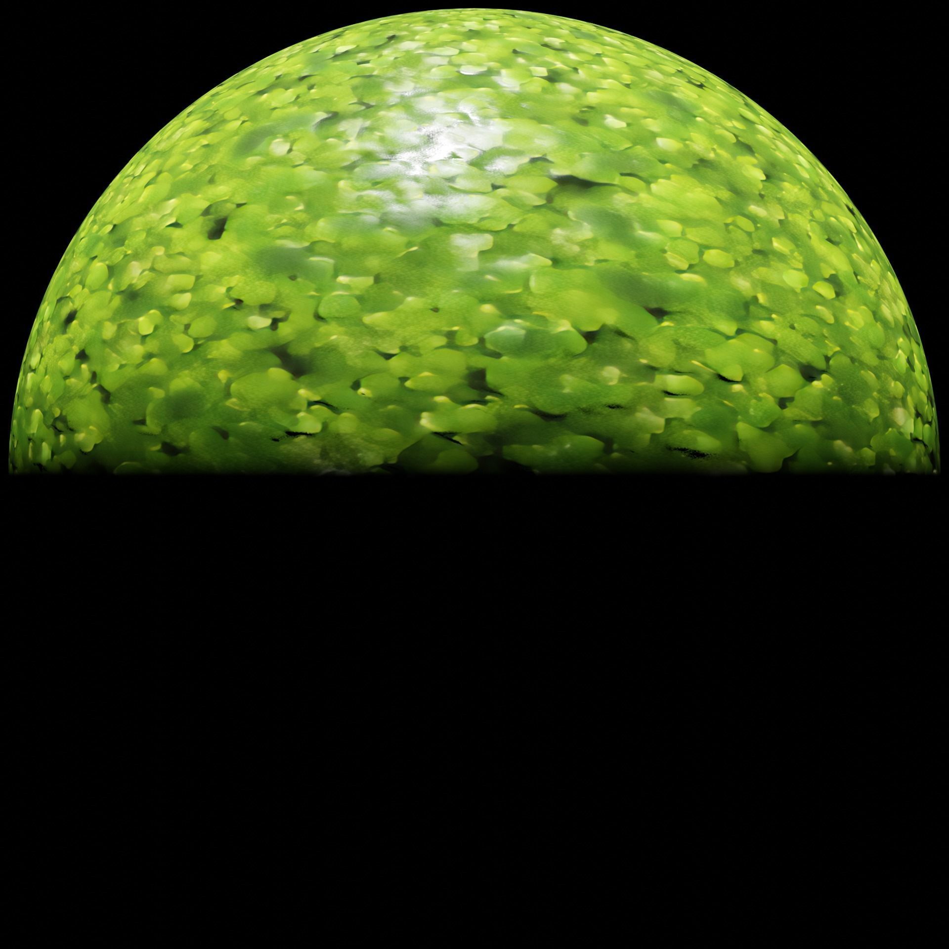 Texture Duckweed - 4K PBR material VR / AR / low-poly | CGTrader