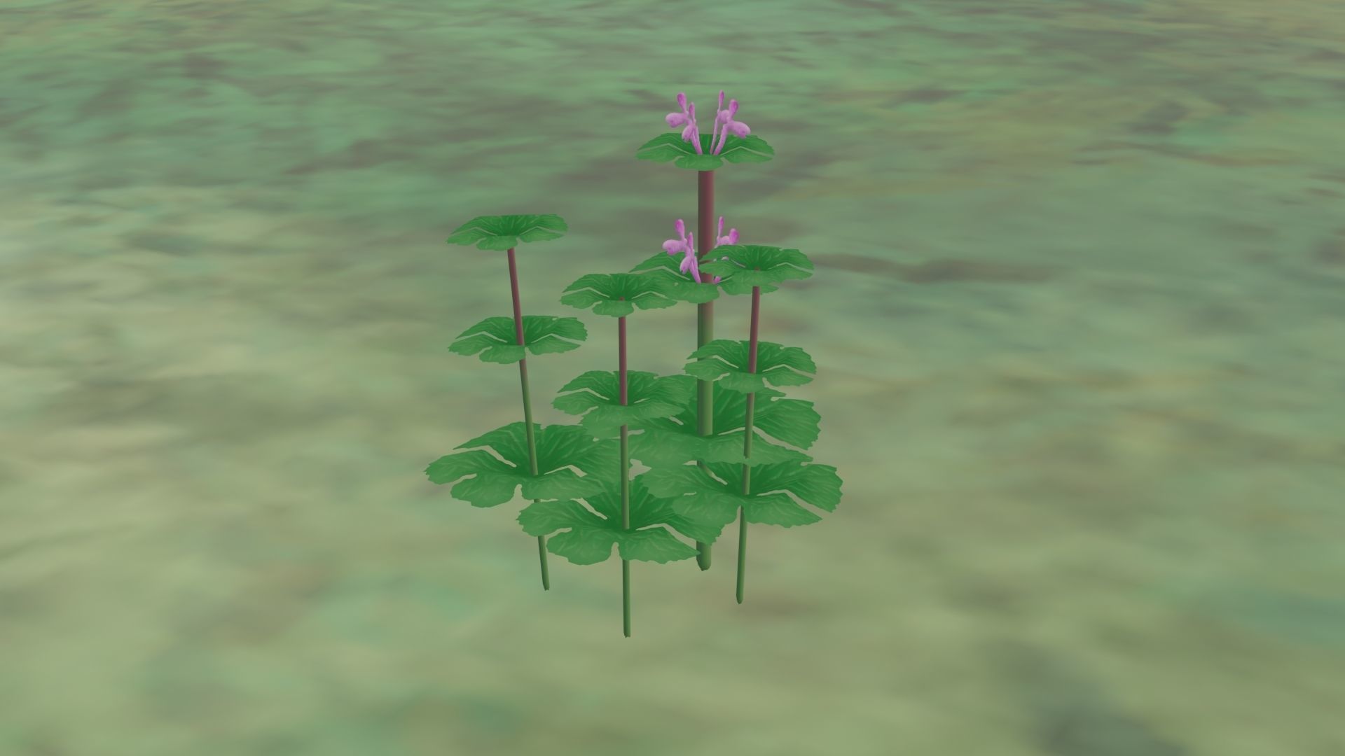 Assortment of 5 flower assets free VR / AR / low-poly 3D model | CGTrader