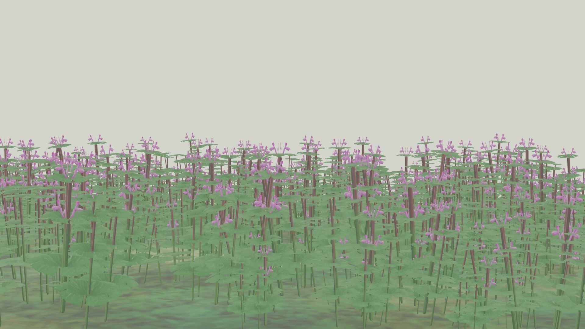 Assortment of 5 flower assets free VR / AR / low-poly 3D model | CGTrader