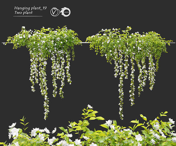 Hanging Plant 19 3D model | CGTrader