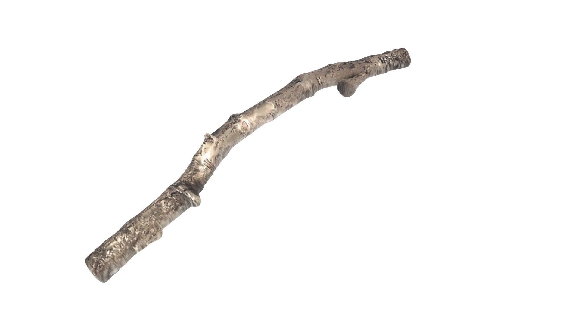 Tree Branch 3D model | CGTrader
