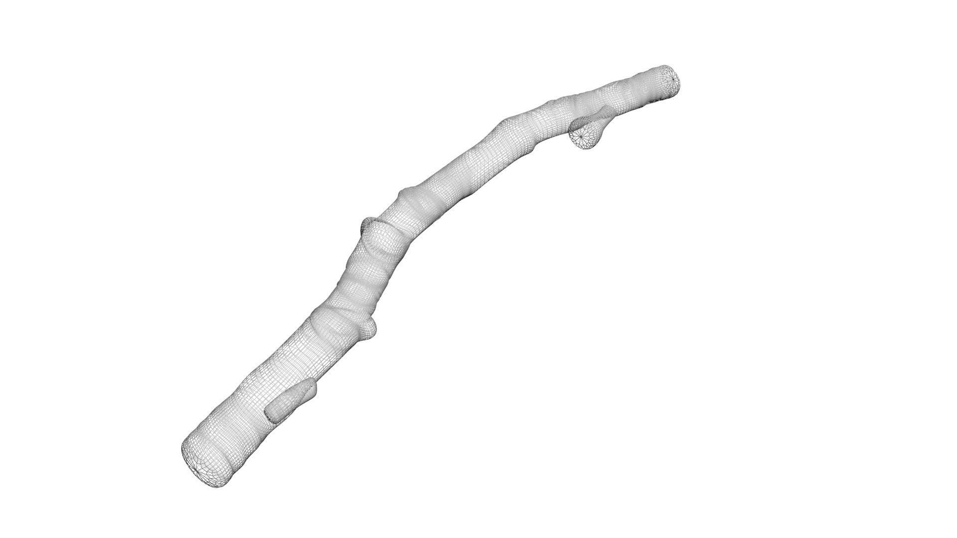 Tree Branch 3D model | CGTrader