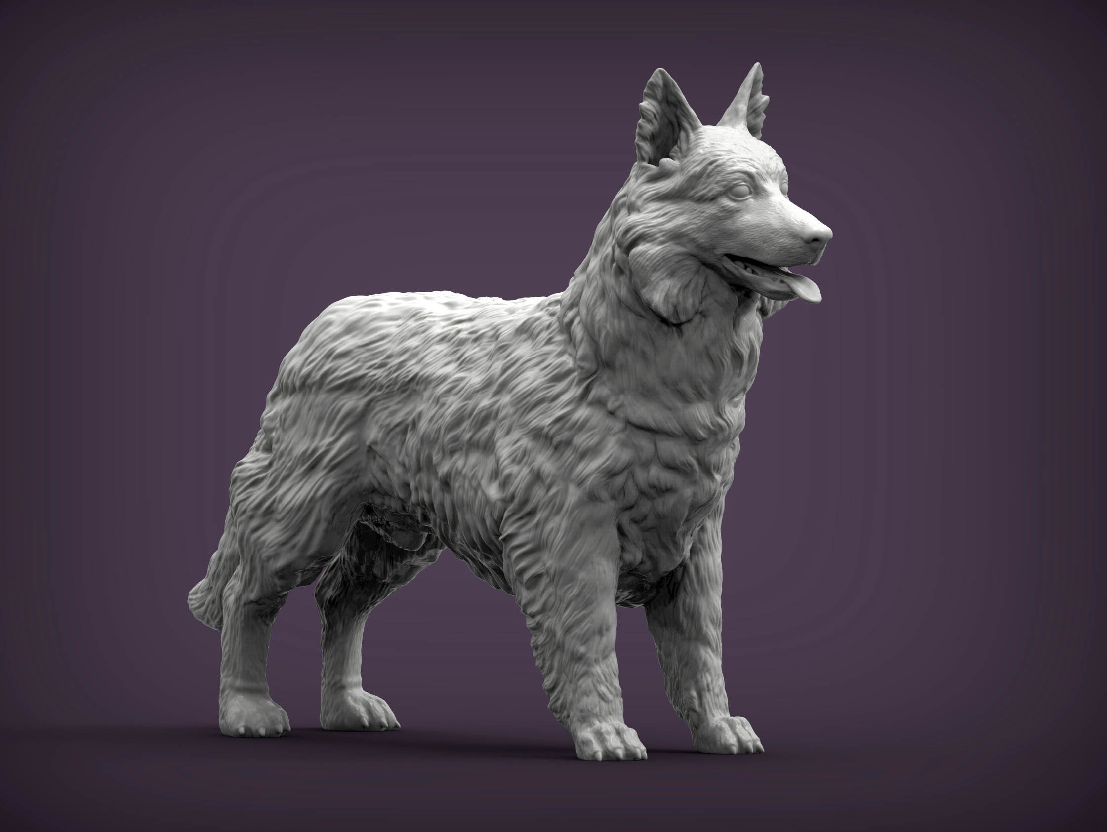 Border Collie 3D model 3D printable | CGTrader