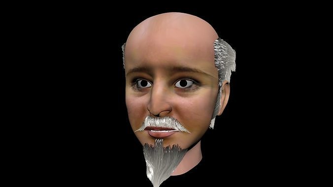 head old man-bald man 3D model rigged | CGTrader