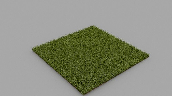 Grass 3D model | CGTrader