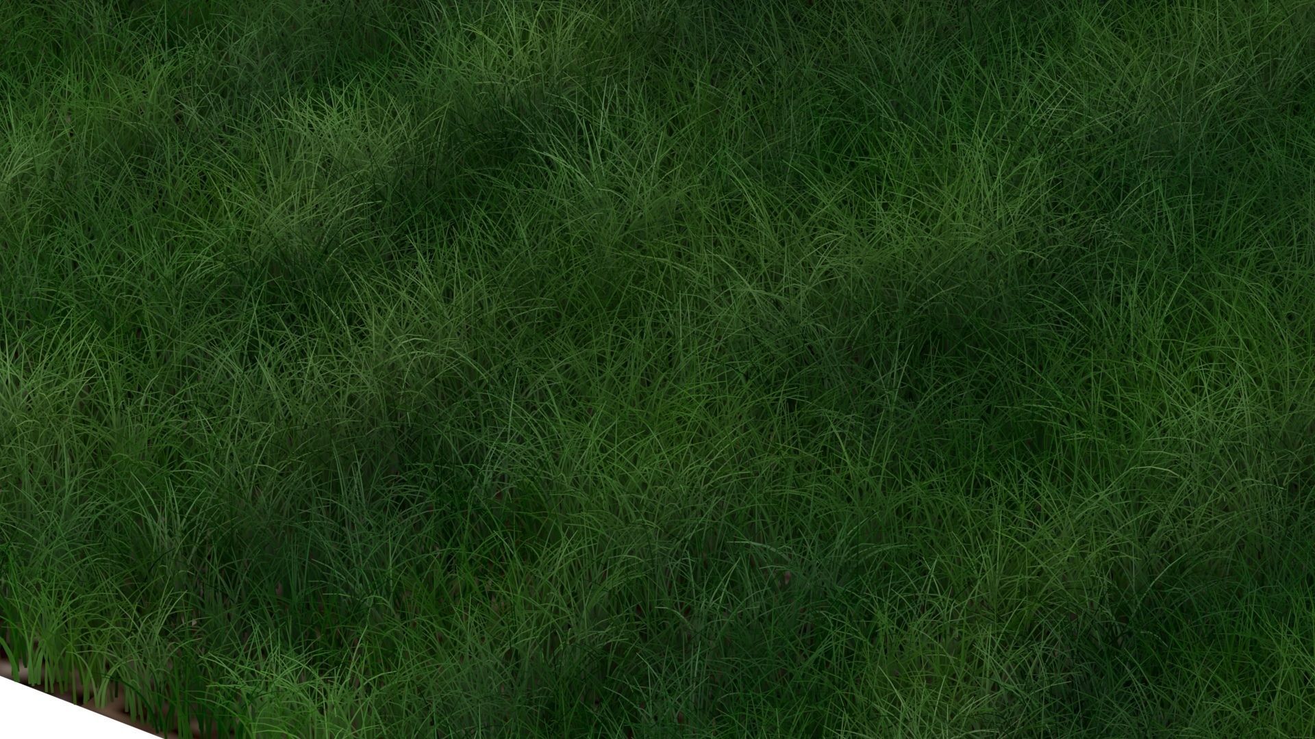 Grass 3D model | CGTrader
