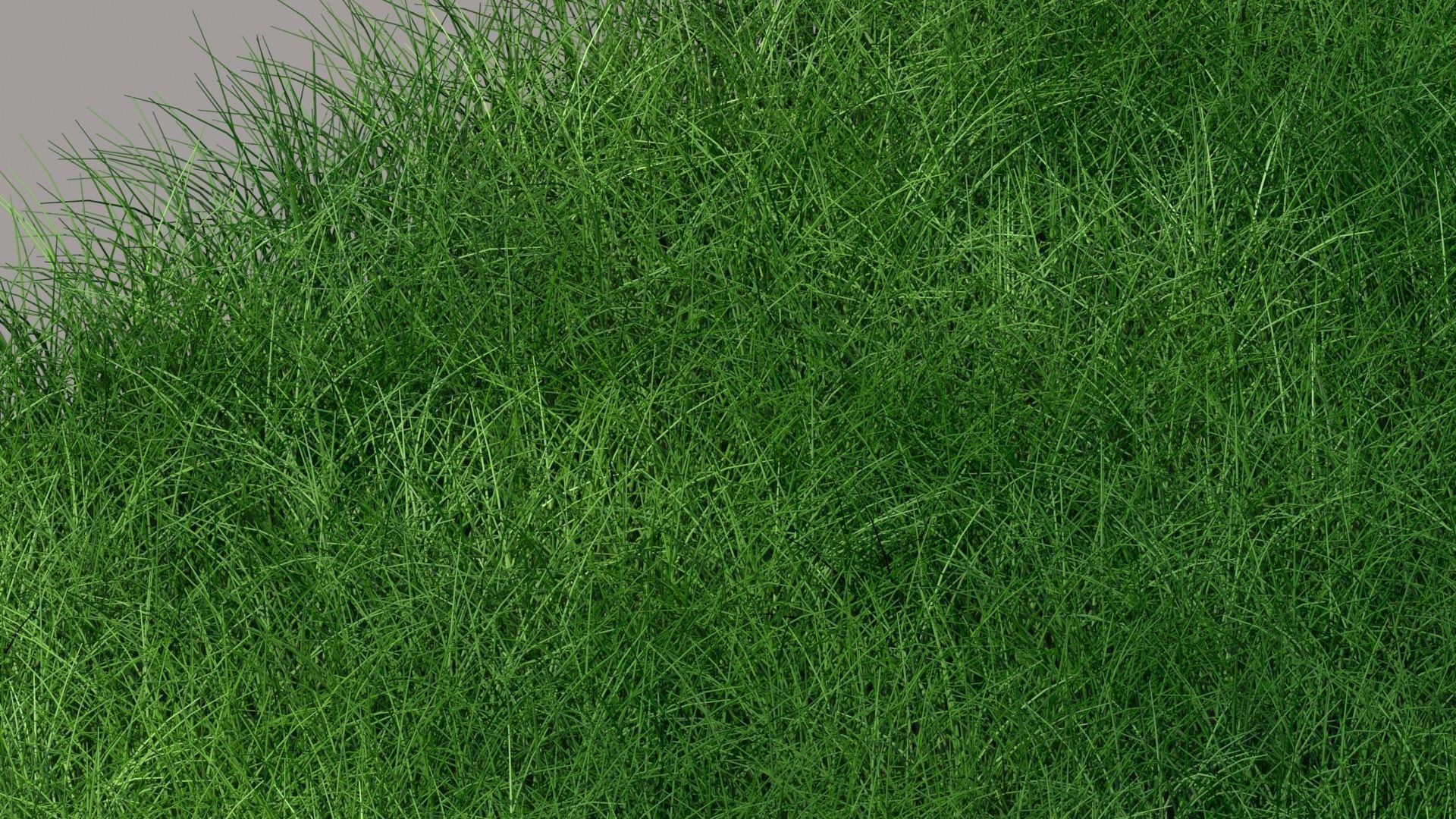 Grass 3D model | CGTrader