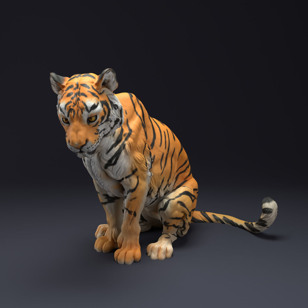 Bengal Tiger Sit for 3D Printing 3D model 3D printable | CGTrader