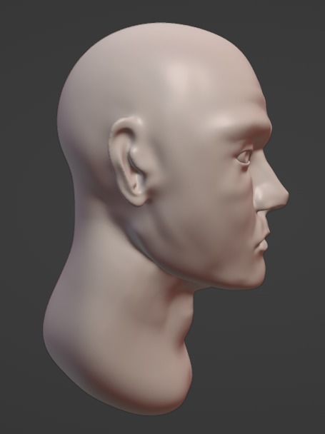 Male Face 3D model | CGTrader