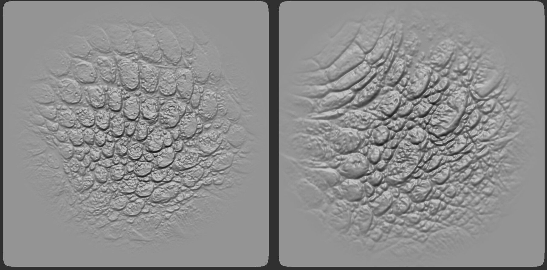 45 Reptile Dragon lizard crocodile Skin Scale Alphas V3 3D model | CGTrader