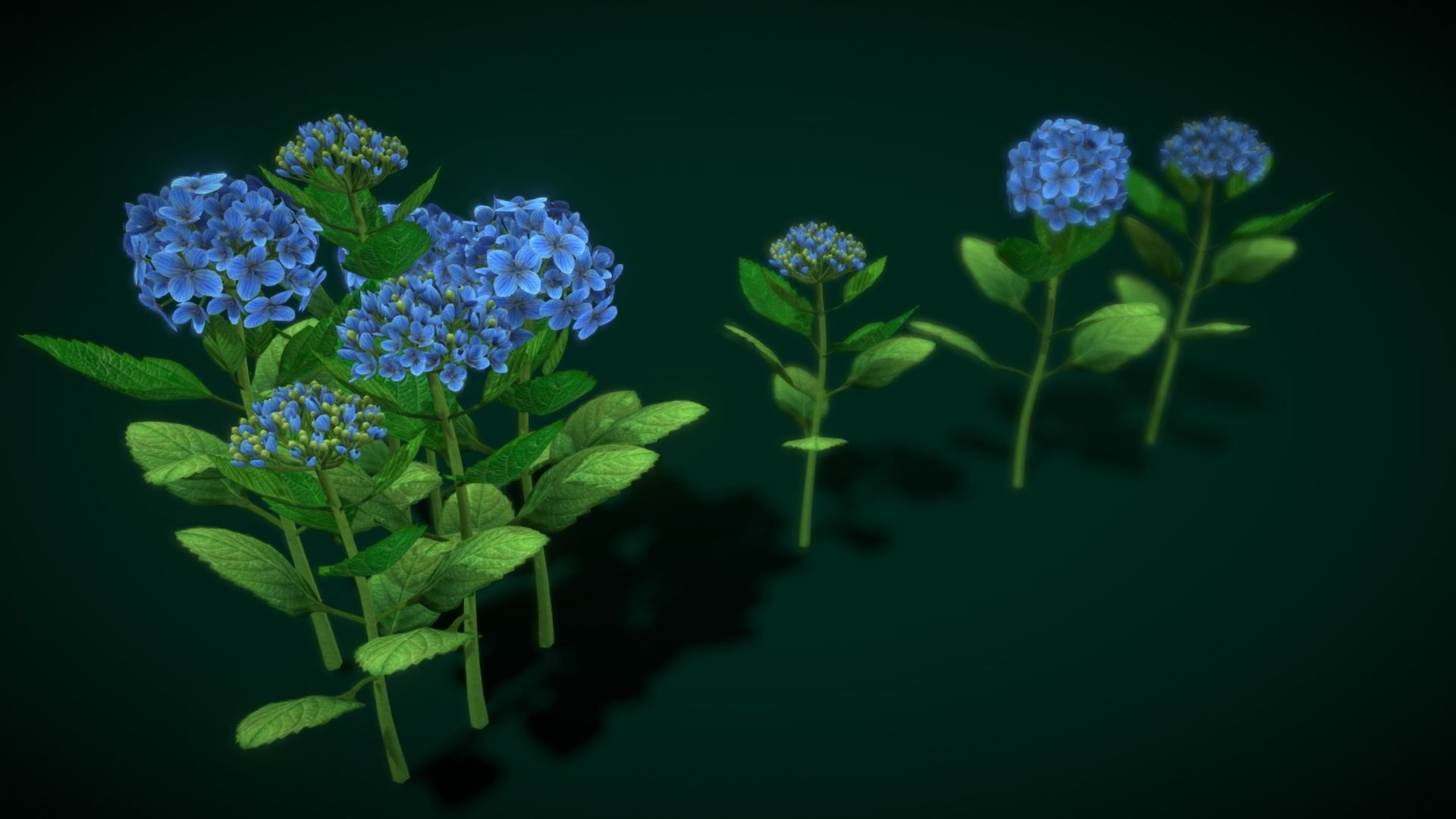 3D model Flower Hydrange VR / AR / low-poly | CGTrader
