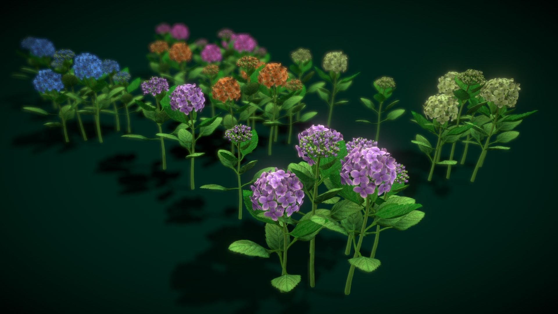 3D model Flower Hydrange VR / AR / low-poly | CGTrader