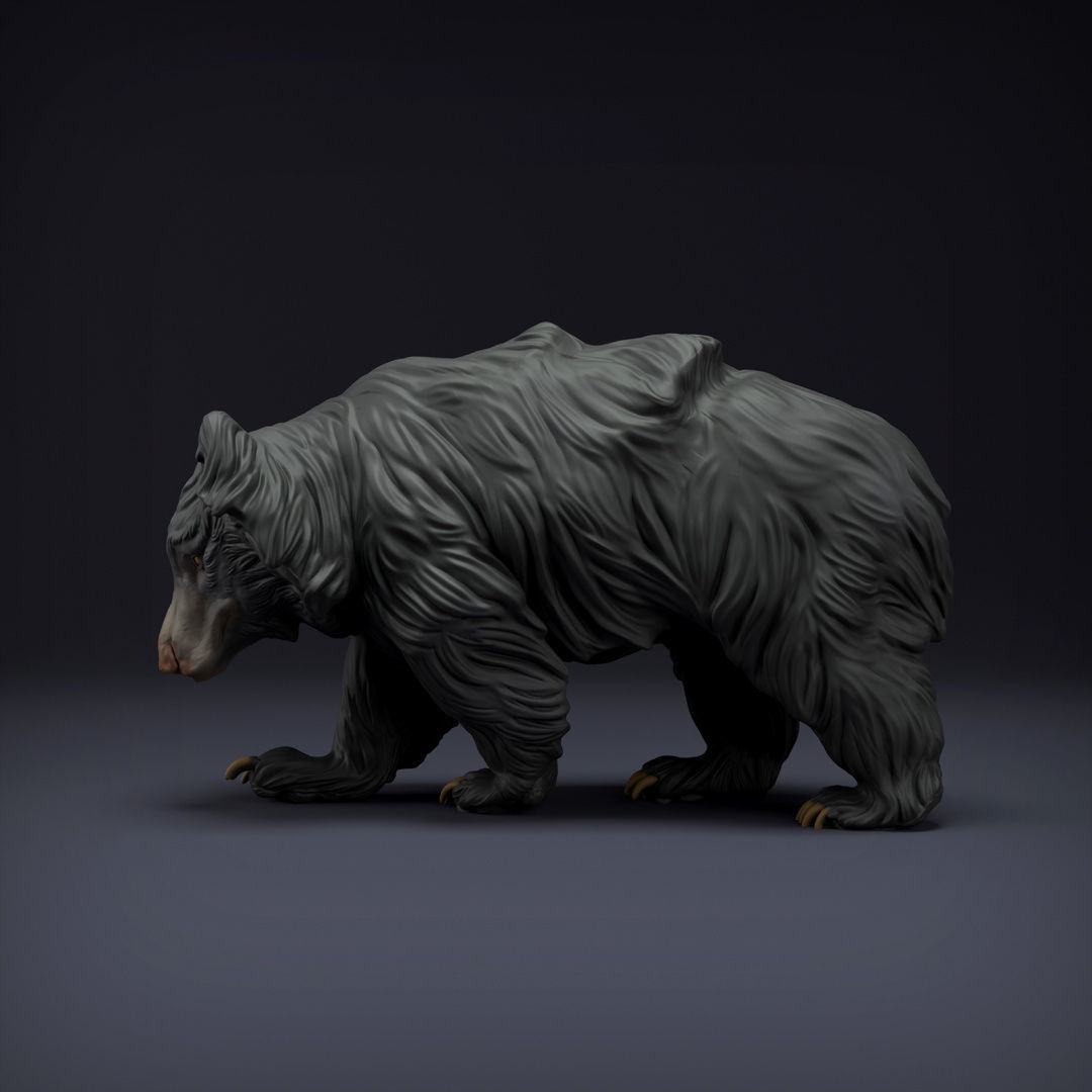 Sloth Bear for 3D Printing 3D model 3D printable | CGTrader