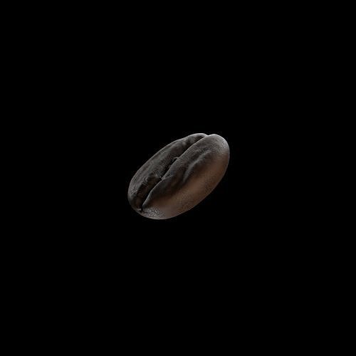 Coffee Bean Model - Super realistic 3D model | CGTrader