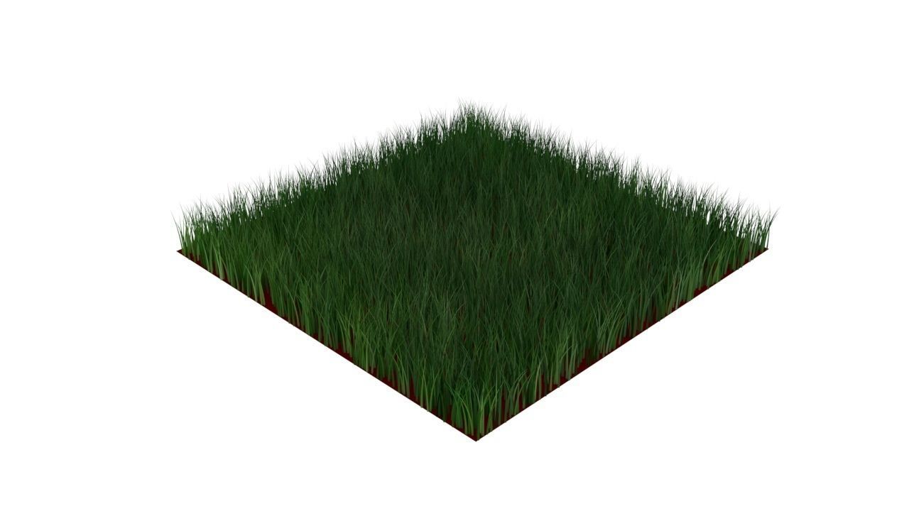 Grass 3D model | CGTrader
