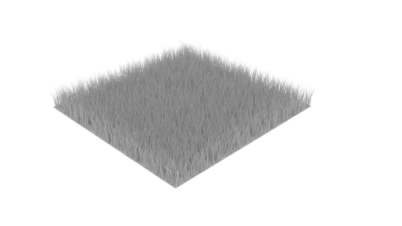Grass 3D model | CGTrader