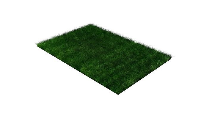 Grasses 3D model | CGTrader