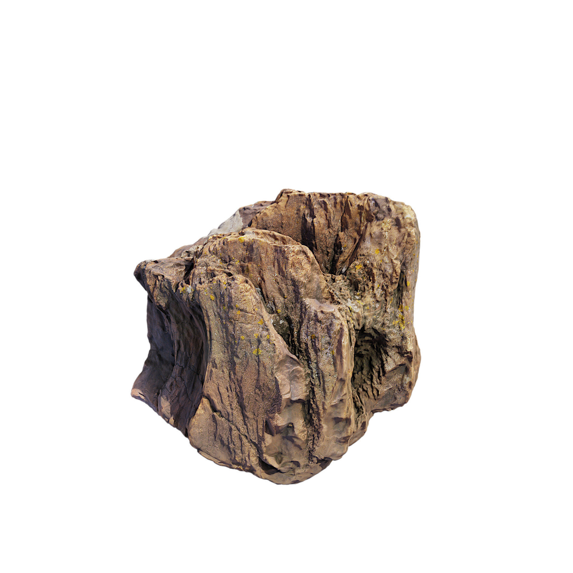 3D model Petrified Wood 2 VR / AR / low-poly | CGTrader