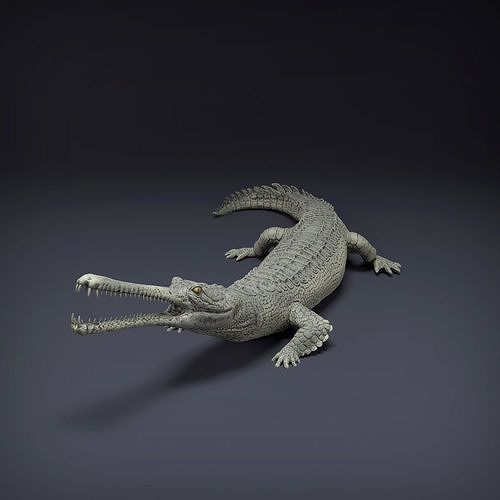 Gharial for 3D Printing 3D model 3D printable | CGTrader