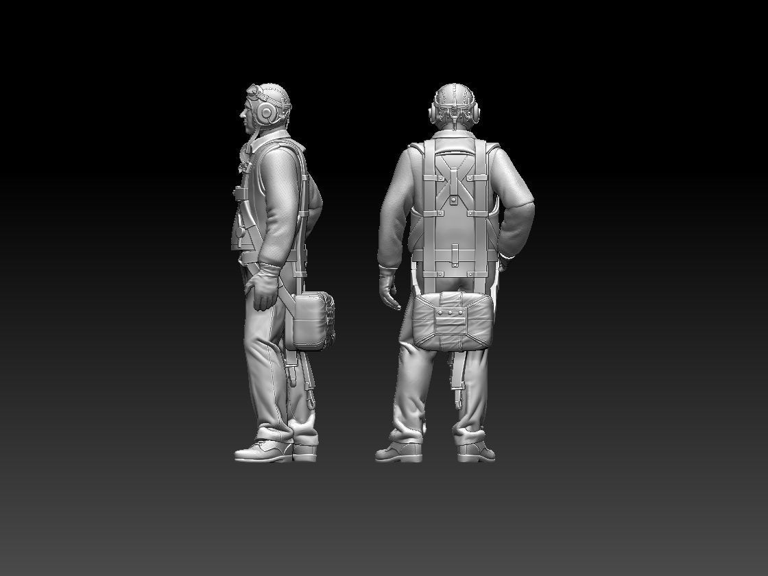 pilot usa 3D model 3D printable | CGTrader