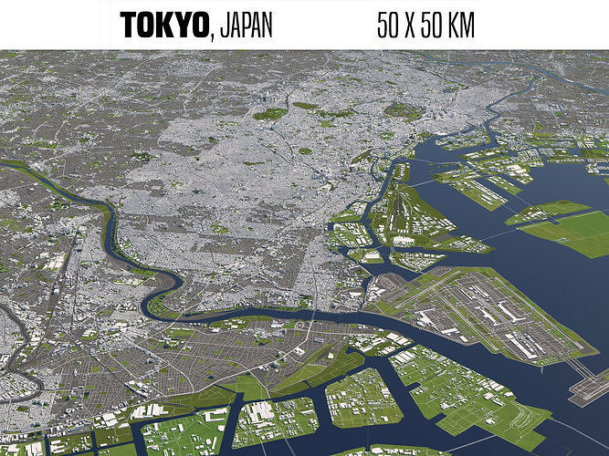 Tokyo Japan 50x50km 3D City Map 3D model | CGTrader