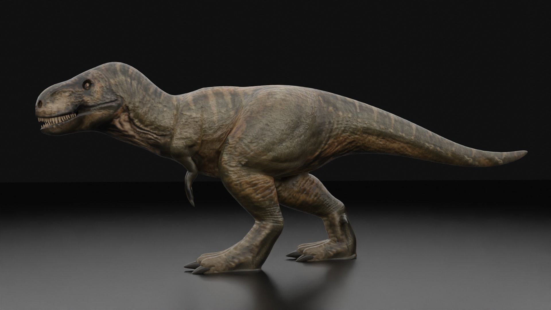 tyrannosaurus rex dinosaur 3d model 3D model animated rigged | CGTrader