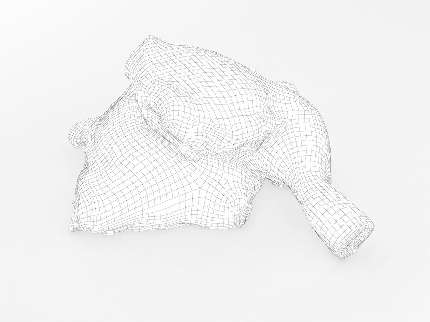 Raw Chicken Leg 3D model | CGTrader