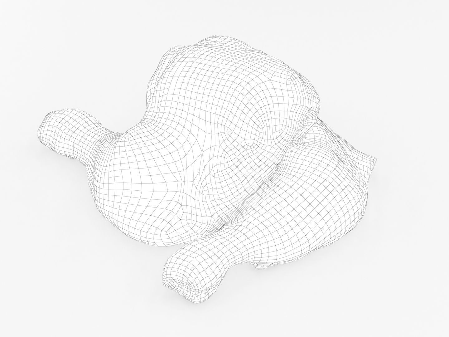 Raw Chicken Leg 3D model | CGTrader