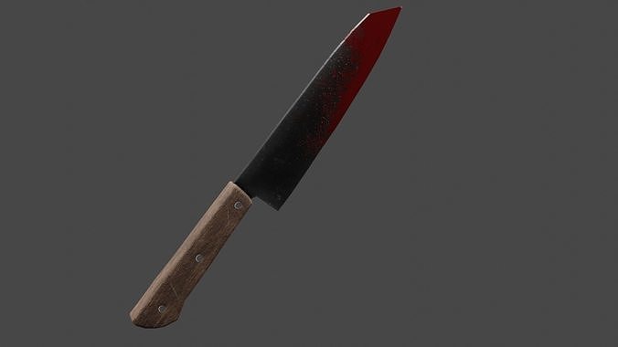 Bloody Kitchen Knife