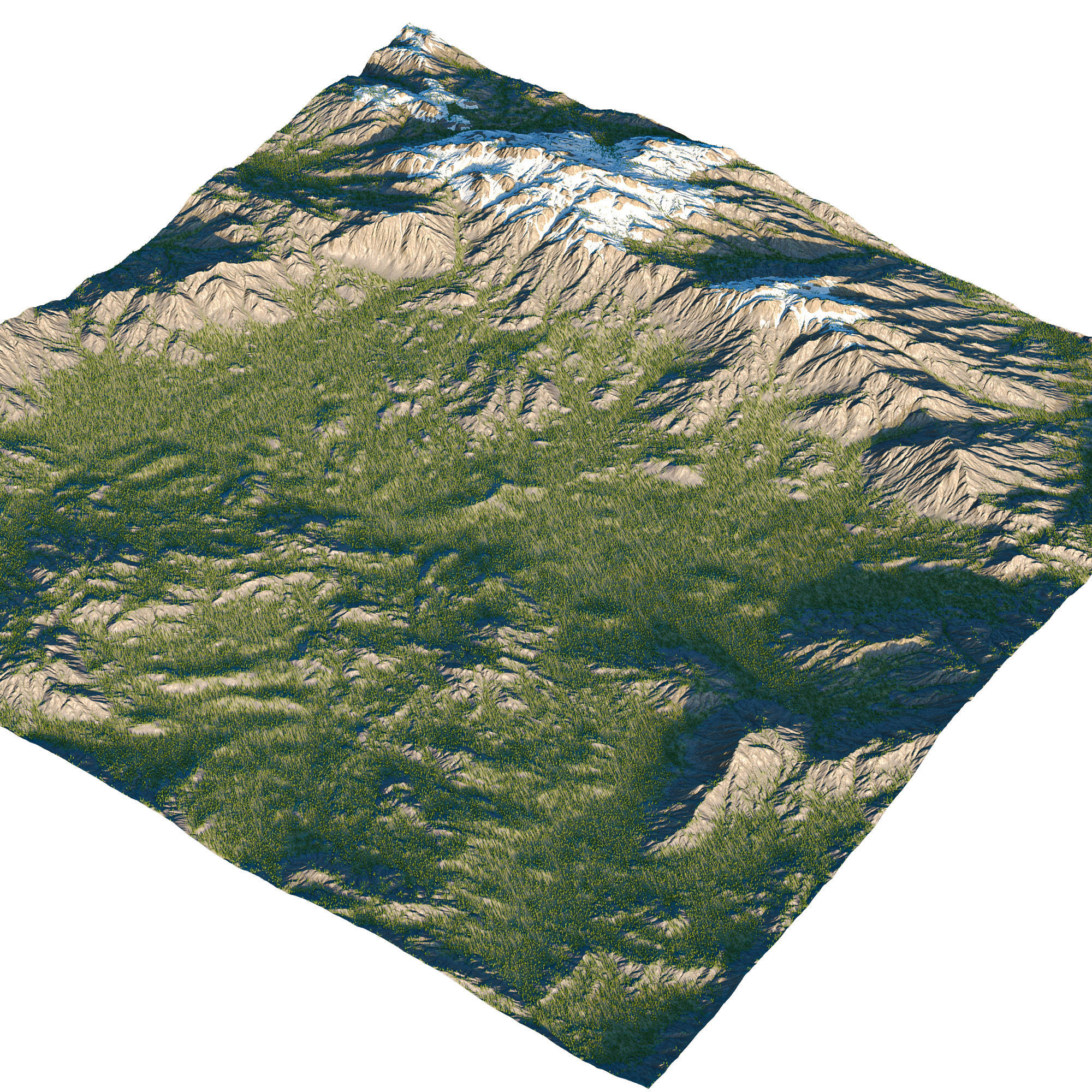 landscape01 engelmann spruce 3D model | CGTrader