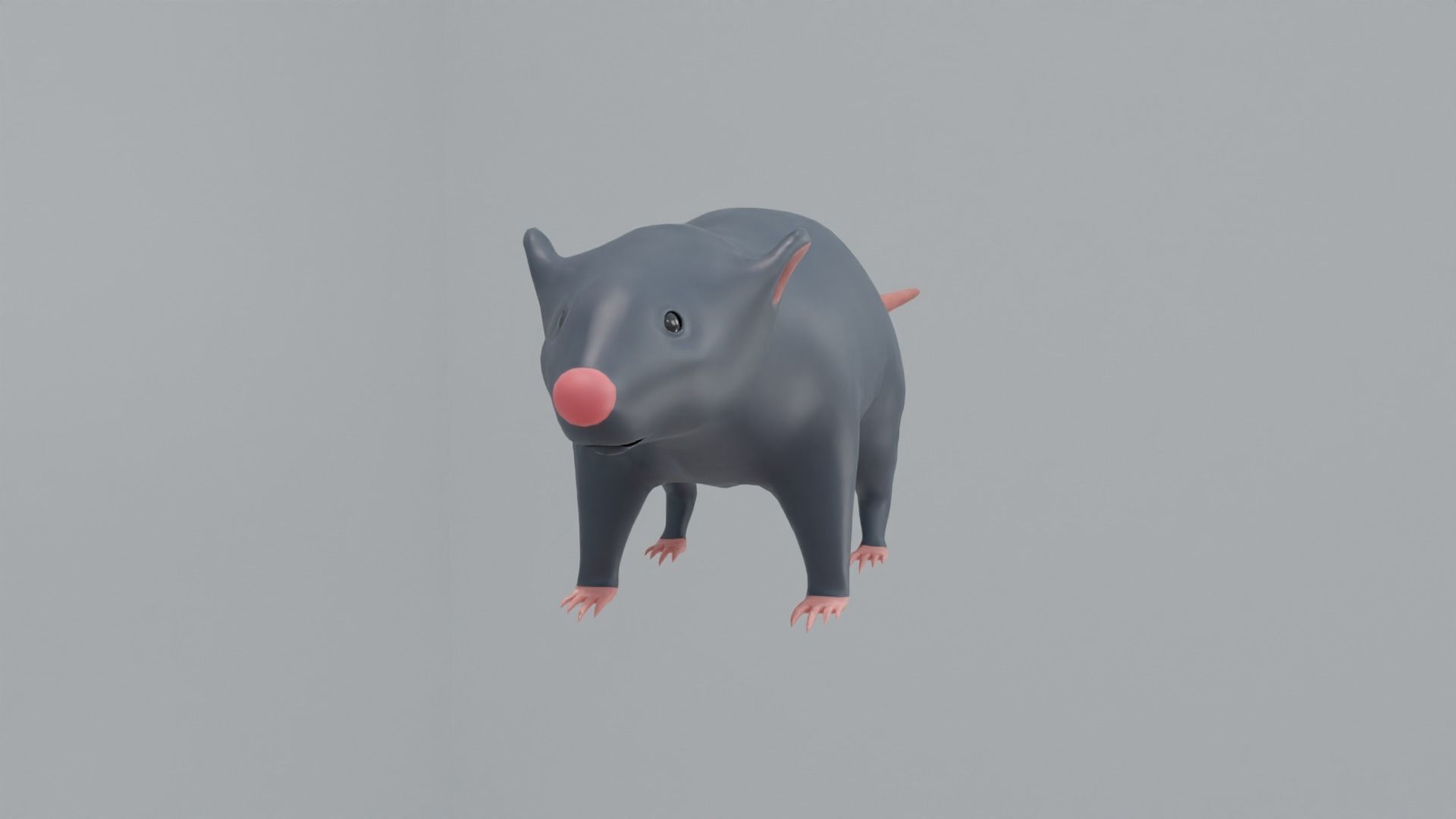 The little Rat 3D model | CGTrader