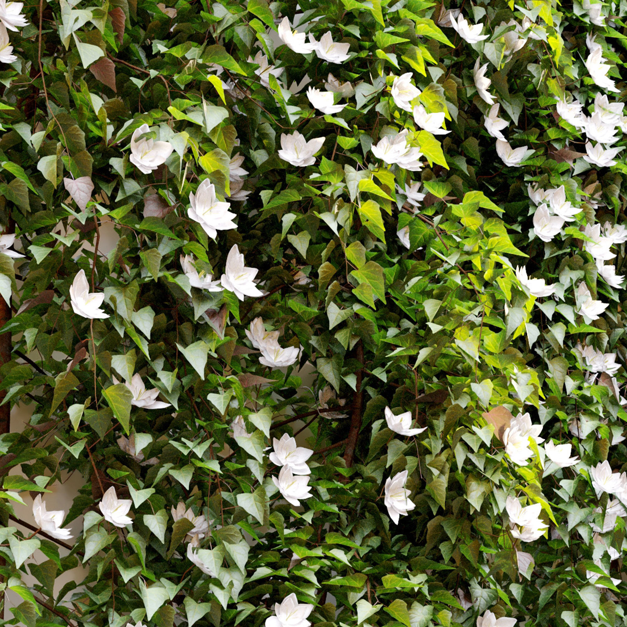 Hanging Plant 17 3D model | CGTrader
