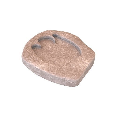 3D model Footprint Fossil v1 002 VR / AR / low-poly | CGTrader