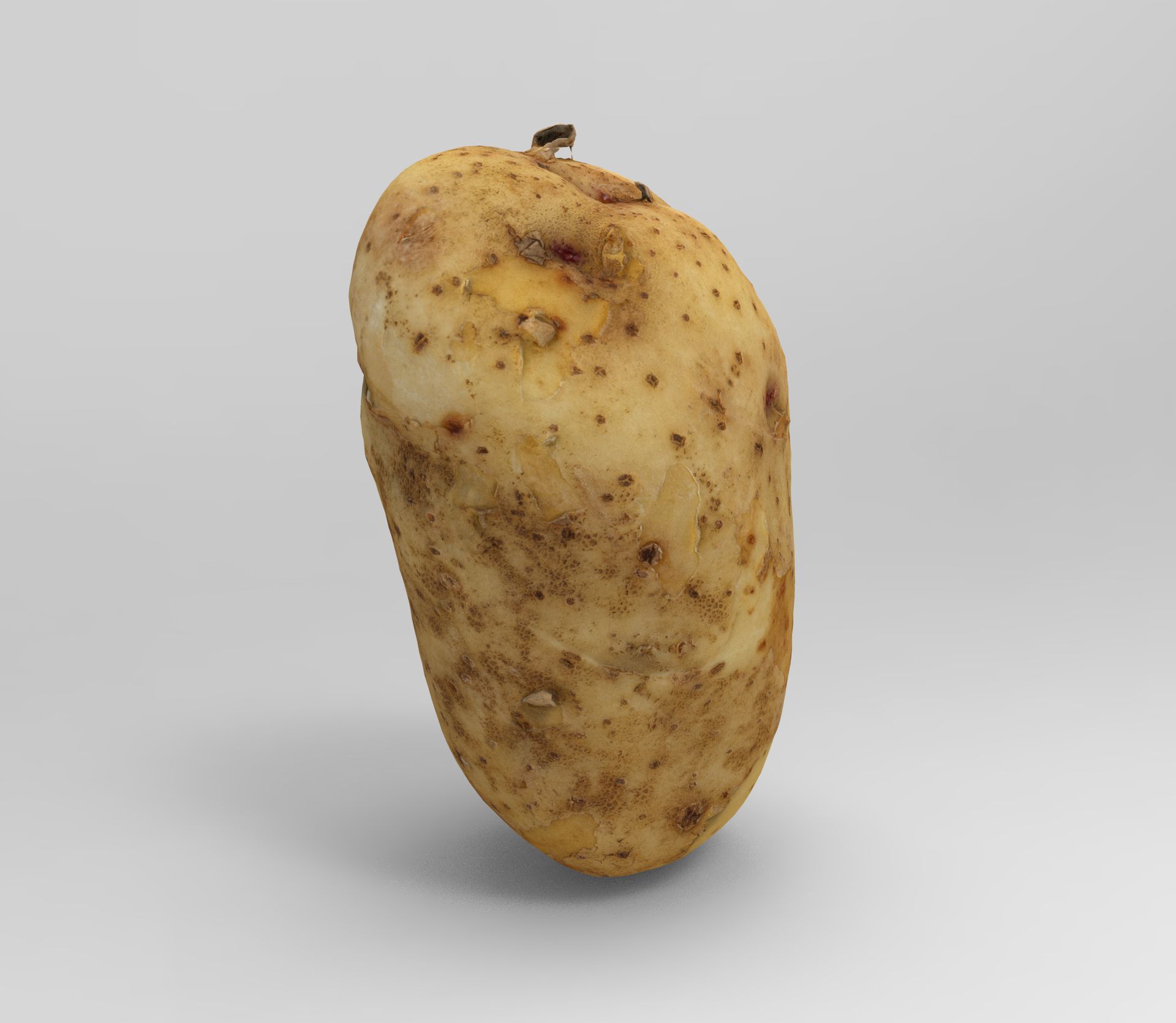 3D model Potato 3D VR / AR / low-poly | CGTrader
