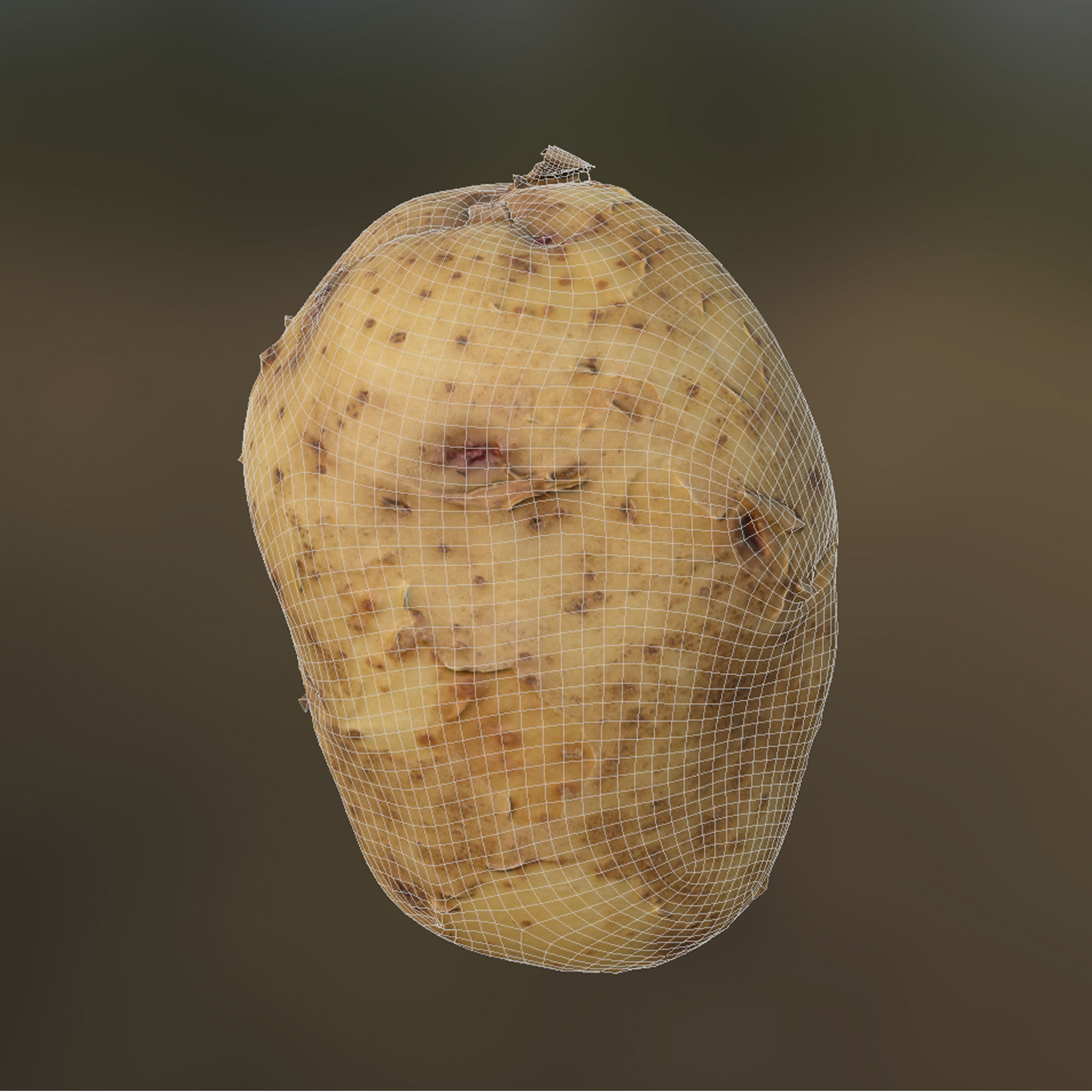 3D model Potato 3D VR / AR / low-poly | CGTrader